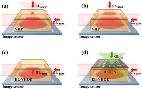 Schematic Diagram Of A Lensless Digital Holographic Microscope With