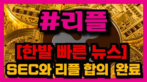 리플 한발 빠른 뉴스 Sec와 리플 합의 완료 Youtube