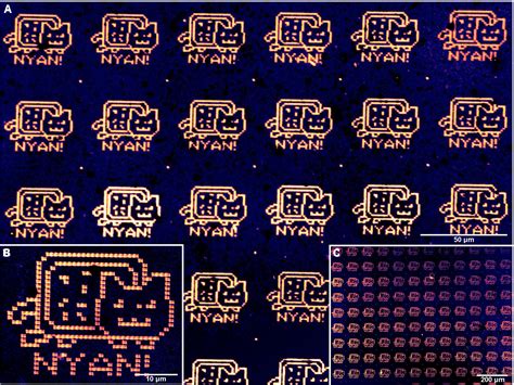 Large Area Scanning Probe Nanolithography Facilitated By Automated Alignment And Its Application