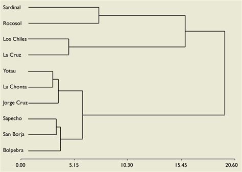 1 Dendrogram Obtained Using Cluster Analysis Ward Method Euclidean