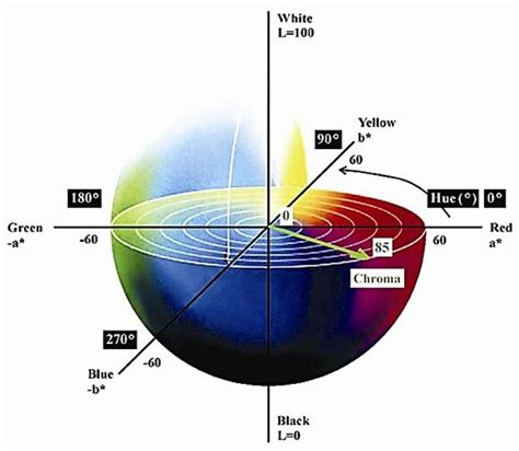 the color expressed in the picture consists of color coordinates [16