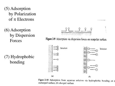Ppt Chapter 2 Adsorption Of Surfactants At Interface Powerpoint Presentation Id1460644