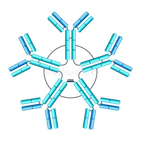 Igm Structure Stock Illustrations 49 Igm Structure Stock Illustrations Vectors And Clipart