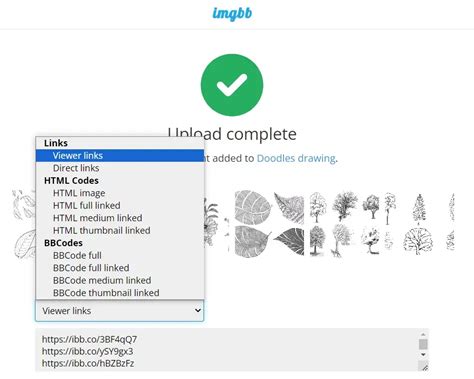 How To Use Imgbb In 2024 Best Tutorial For Beginners
