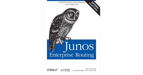 Interface Configuration Examples Junos Enterprise Routing 2nd