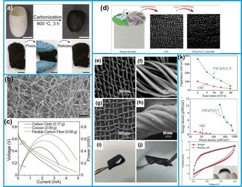 A Schematic Presentation And Digital Photographs Of The Carbonized Download Scientific