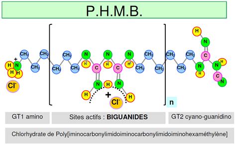 What Is Biguanide Laboratoire Pareva