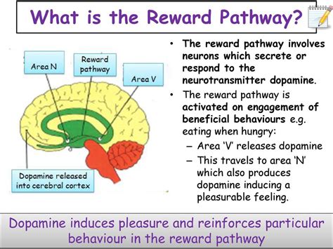 By The End Of This Section You Will Be Able To … Ppt Download