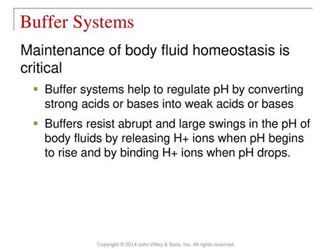 Principles Of Anatomy And Physiology Ppt Download Principles Of Anatomy And Physiology Ppt Download