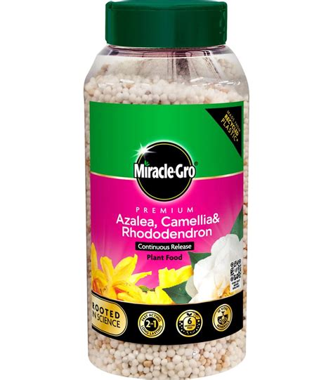 Miracle Gro Ericaceous Continuous Release Plant Food 900g Trowell Garden Centre