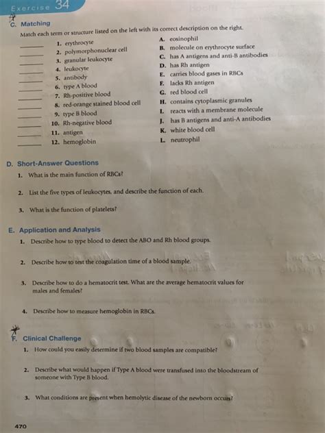 Solved Exercise 34 C Matching Match Each Term Or Structure