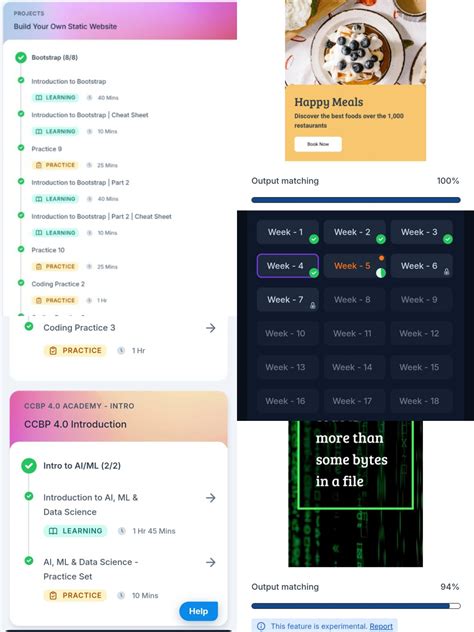 Codingpractice Nxtwave Ccbp4 Ccbpian Html Css Ai Ml Datascience Fathima Fesmi Kp