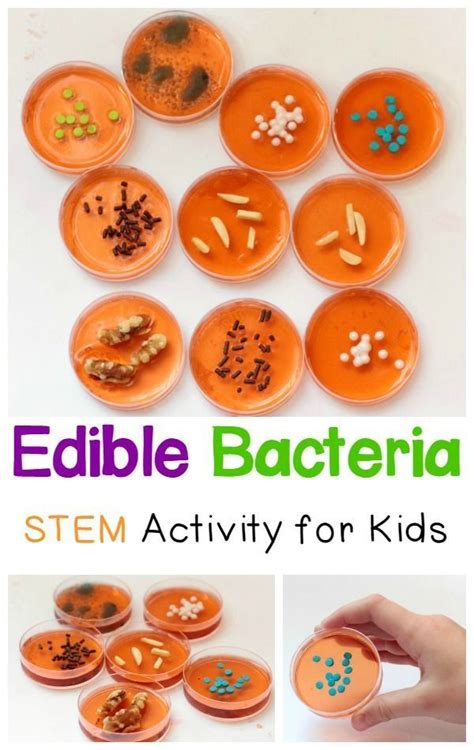 Edible Bacteria Candy Experiment Diy Germs Candy Artofit