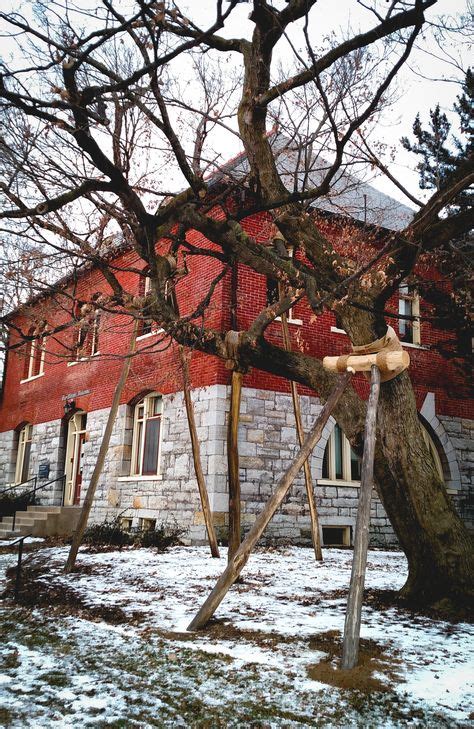 8 Tree Limb Supports Ideas Tree Support Tree Japanese Garden