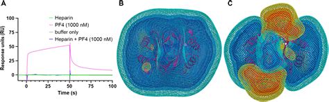 Chadox1 Interacts With Car And Pf4 With Implications For Thrombosis