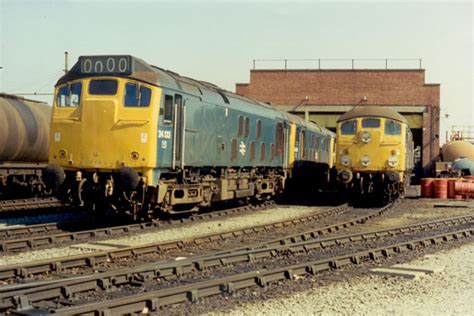 Photograph Courtesy Robert Riley