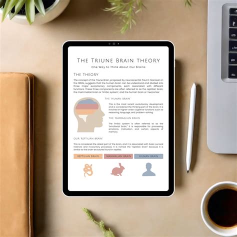 The Triune Brain Model Of Brain Development Neuroscience Psychoeducation Tool For Therapists