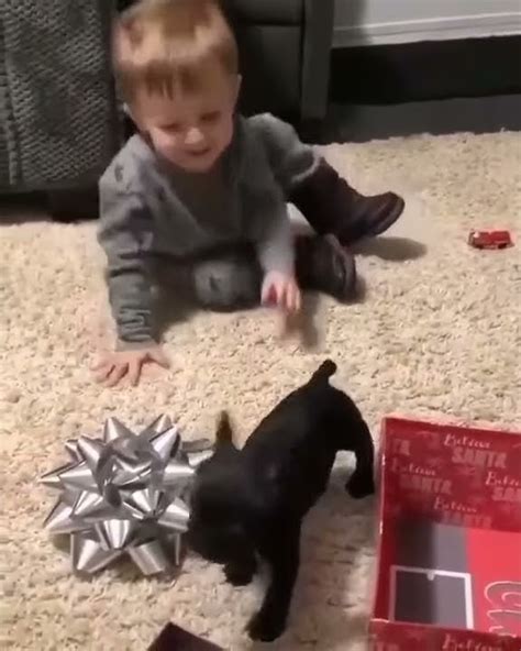 생일선물로 평생 잊지 못 할 친구가 생겼다 Youtube