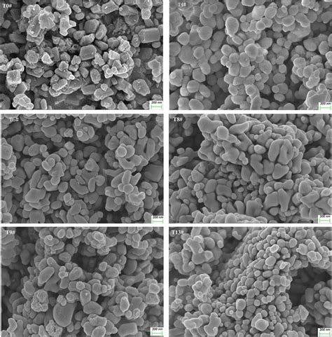 Sem Photographs For The High Purity Tio2 Samples Download Scientific