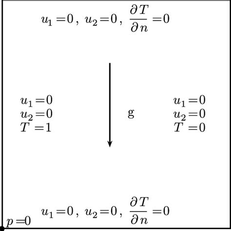 Geometry And Boundary Conditions For The Natural Convection Problem