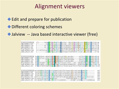 ppt multiple sequence alignments advanced blast searches powerpoint