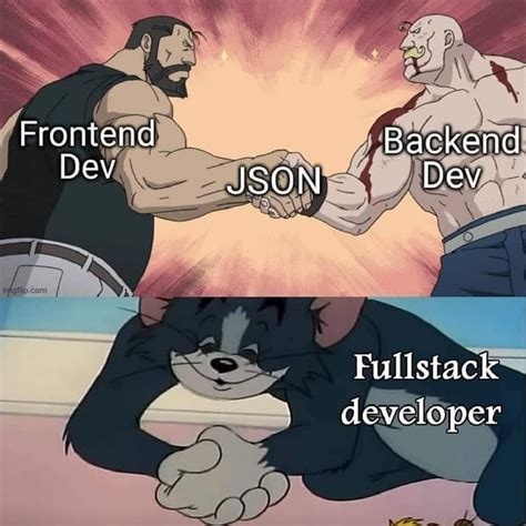 full stack dev programmerhumor