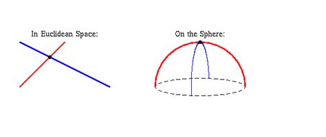 Question Corner Understanding Projective Geometry