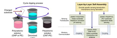A Schematic Of The Layer By Layer Self Assembly Process Download