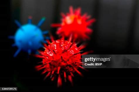 Epidemiological Model Photos And Premium High Res Pictures Getty Images