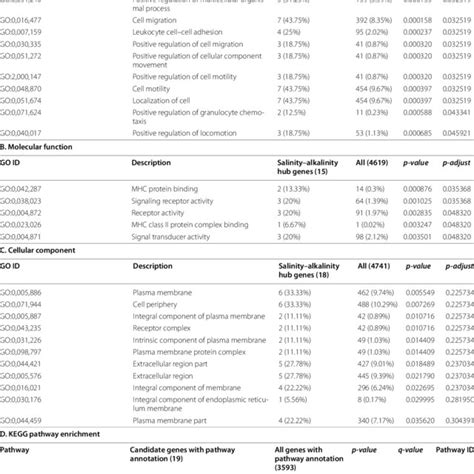 Kegg Classification Of Differential Expression Genes Under Alkalinity Download Scientific