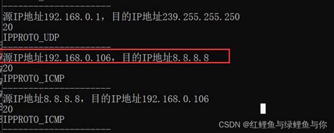 网络协议分析实验课程设计 网络协议与分析课设题目 csdn博客