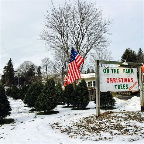 The Candy Cottage And Ts The Candy Cottage And Ts