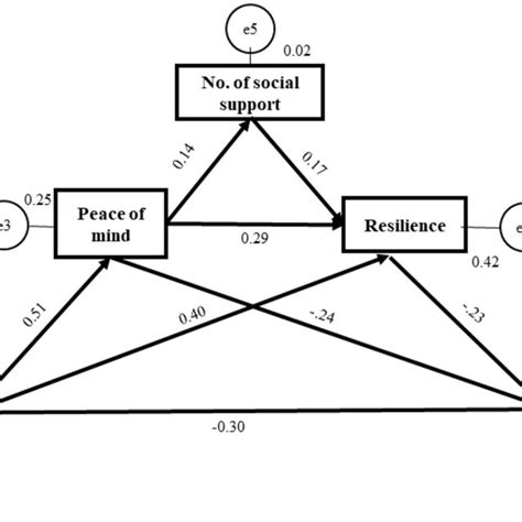 a hierarchical psychosocial model of depressive symptom severity in