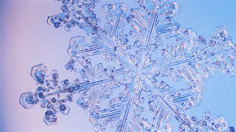 Snowflake Close Up Under Microscope Panning View Blue Background Fine