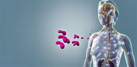 Take The Quiz To Learn About The Structure And Function Of Thyroxine