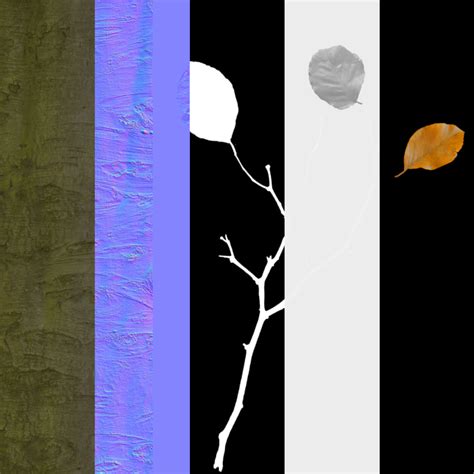 Beech Shrubs 3d Model Pack