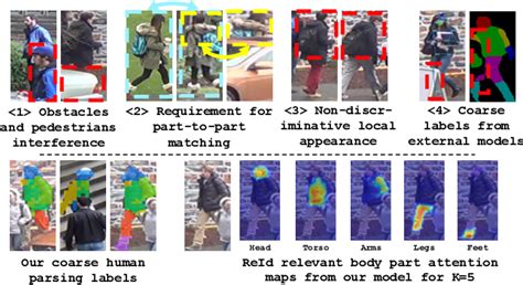 Figure 1 From Body Part Based Representation Learning For Occluded Person Re Identification
