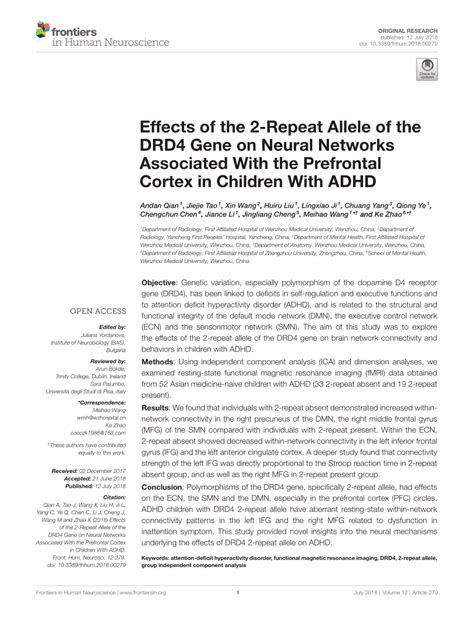 Pdf Effects Of The 2 Repeat Allele Of The Drd4 Gene On Neural Networks Associated With The