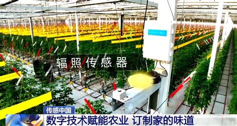 数字技术赋能农业 团圆饭的味道有了科技支撑新闻频道央视网