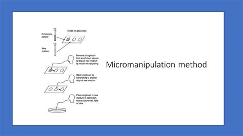 Isolation Of Algae Pptx