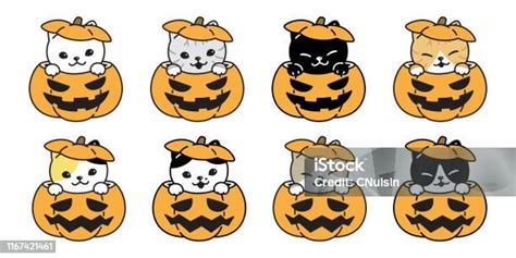 고양이 벡터 호박 할로윈 아이콘 새끼 고양이 품종 Calico 로고 기호 만화 캐릭터 낙서 일러스트 디자인 갈고리 발톱에 대한 스톡 벡터 아트 및 기타 이미지 Istock