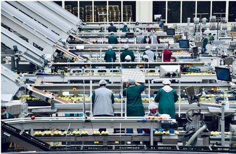 Supply Chain Automation In The Food Industry Itchronicles