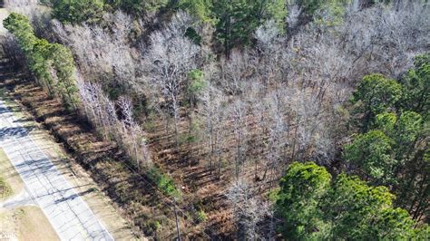 Highway 261 Tract Kingstree In Williamsburg County South Carolina 13 Photos National Land