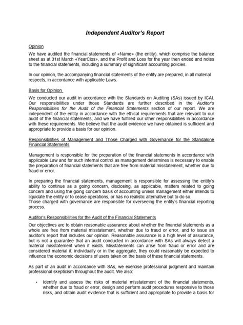 Society Audit Report Pdf Going Concern Audit