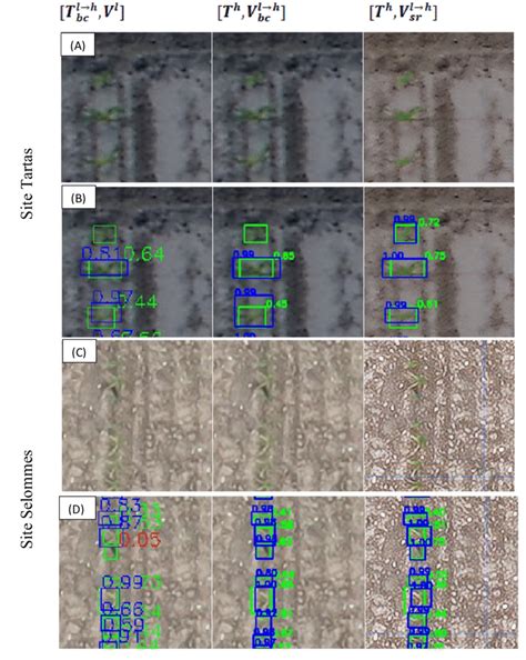 Illustration Of The Performance Of The Faster Rcnn Model On The