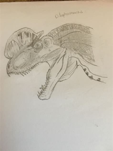 I Final Finished My Dilophosaurus Drawing Pretty Proud Of It R