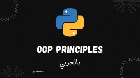 Example Of Oop Principles 81 Python Arabic Course Youtube