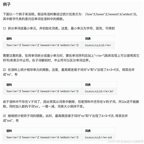 大模型基础组件 tokenizer tokenizer 臓 csdn博客