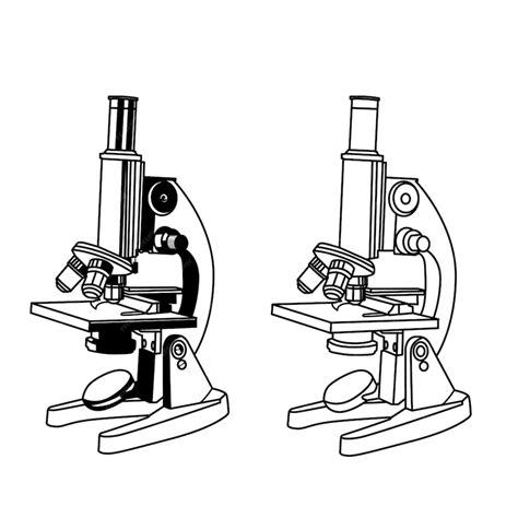 Premium Vector Microscope Line Art Illustration