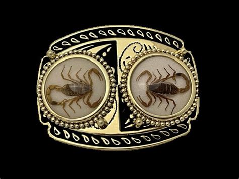 Real Scorpion Belt Buckle Solid Great Quality Gold Tone Etsy